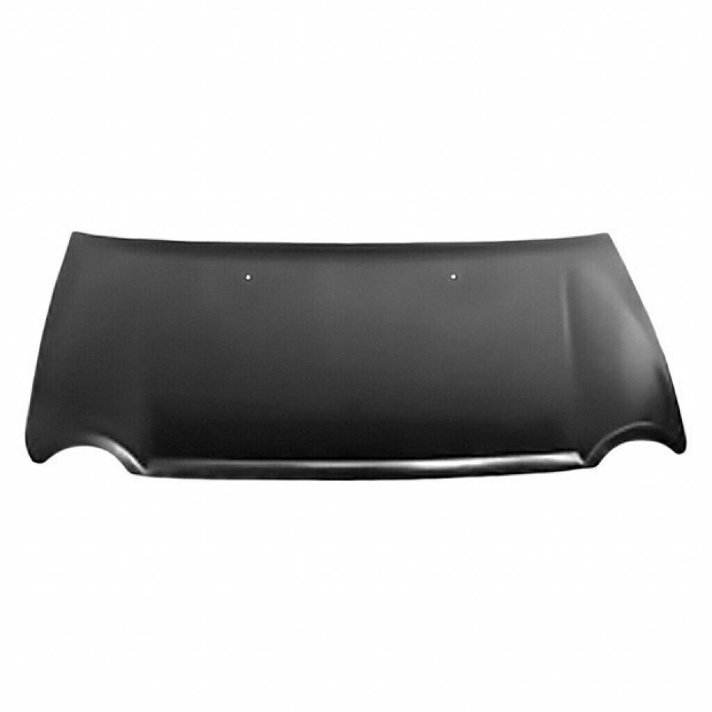 2008-2010 JEEP COMPASS Hood Painted to Match | Paint N Ship