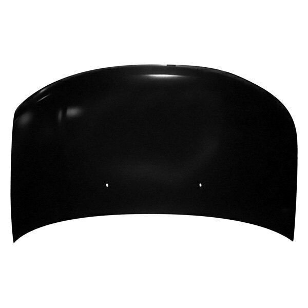 2007-2010 FORD EDGE Hood Painted to Match | Paint N Ship