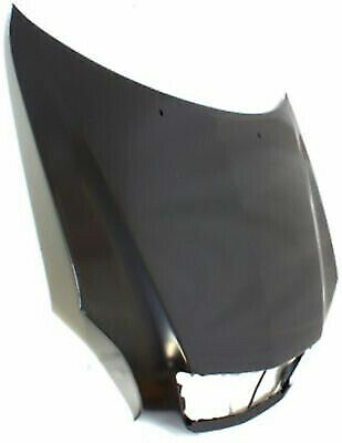 2004-2006 LEXUS RX330 Hood Painted to Match | Paint N Ship