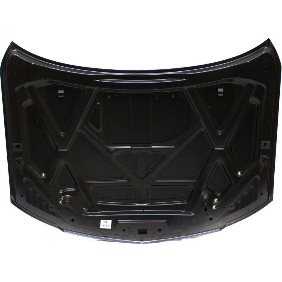 1998-2003 FORD RANGER Hood Painted to Match | Paint N Ship